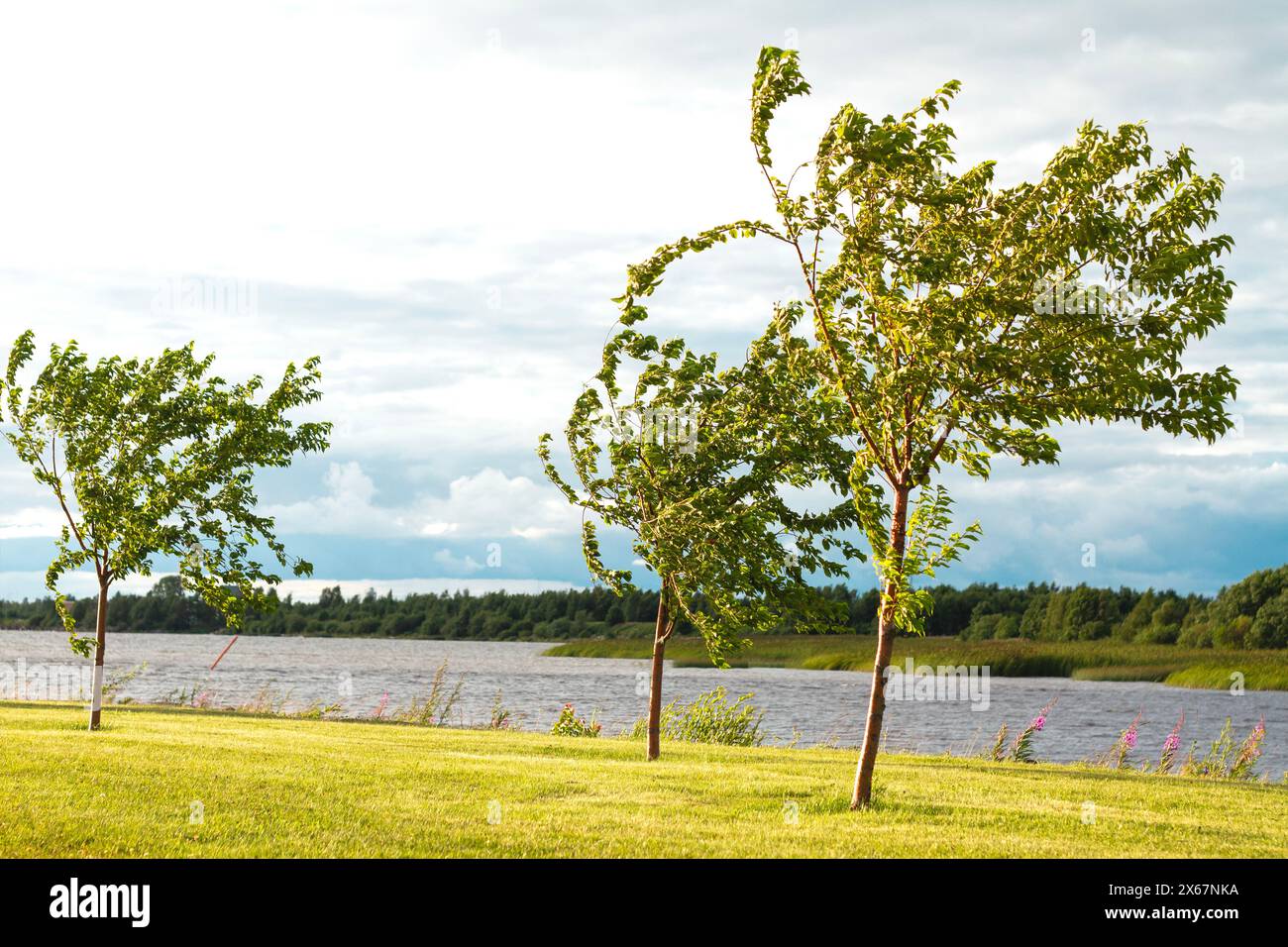 Strong gust hi-res stock photography and images - Alamy