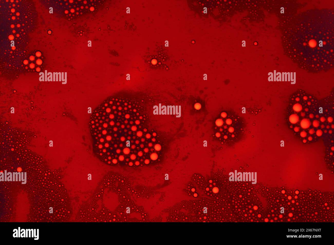 Pool of blood Stock Photo - Alamy