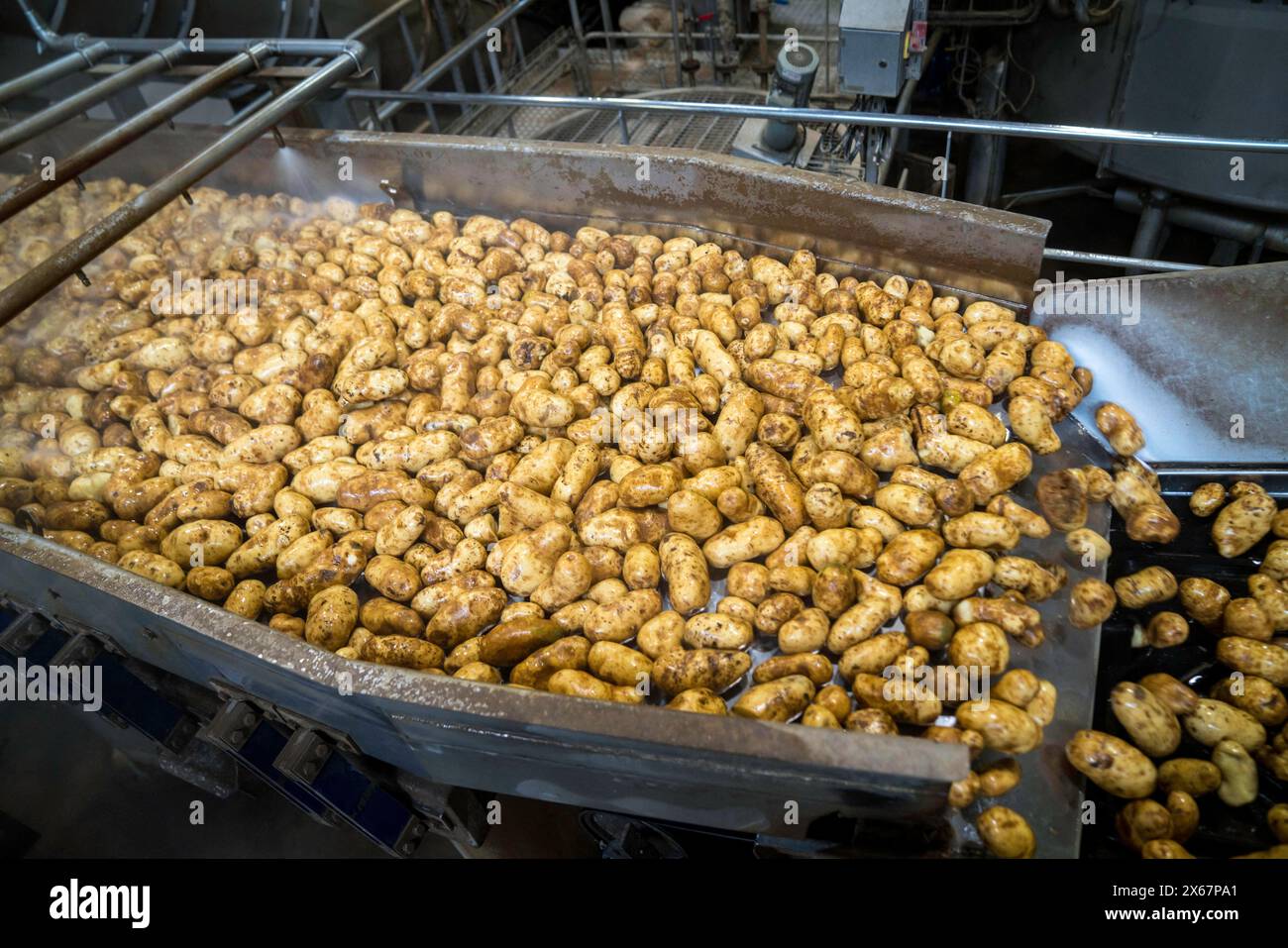 Matougues, France. 13th May, 2024. Inside illustration of the McCain ...