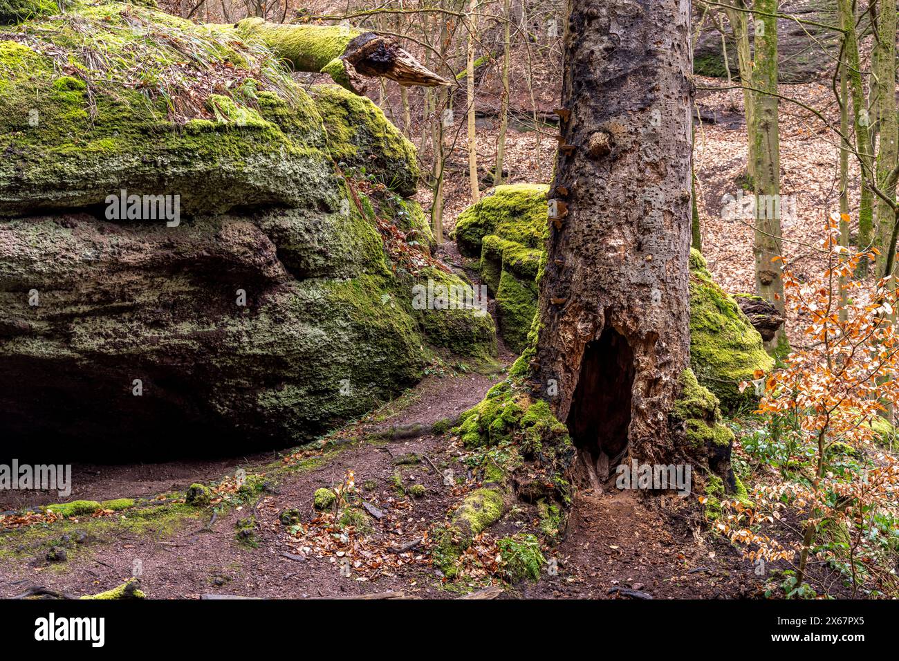 Visitor in the Ludwigsklamm gorge in Eisenach, Thuringia, Germany Stock ...