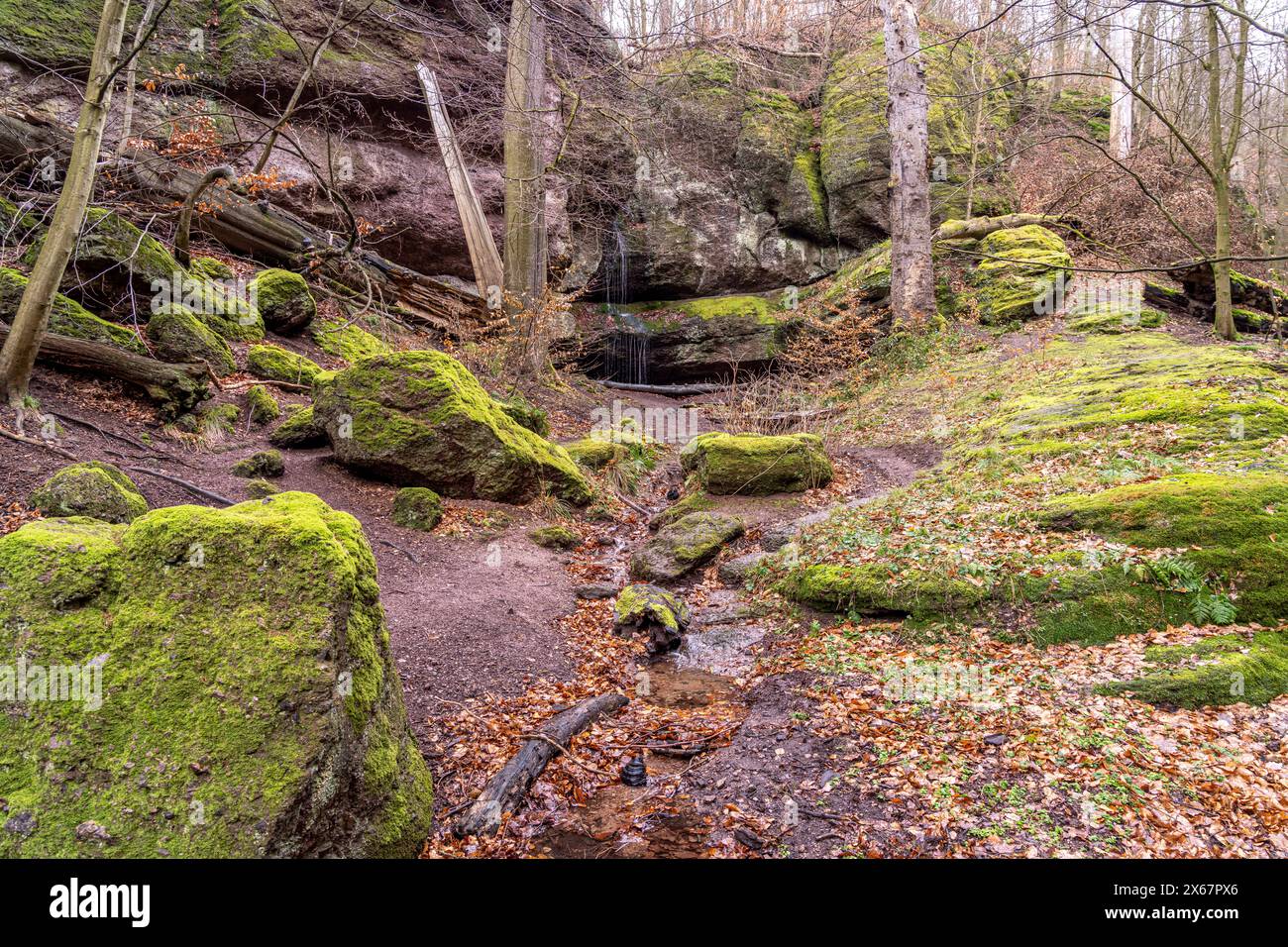 Ludwig's Grotto with waterfall in the Ludwigsklamm gorge in Eisenach ...