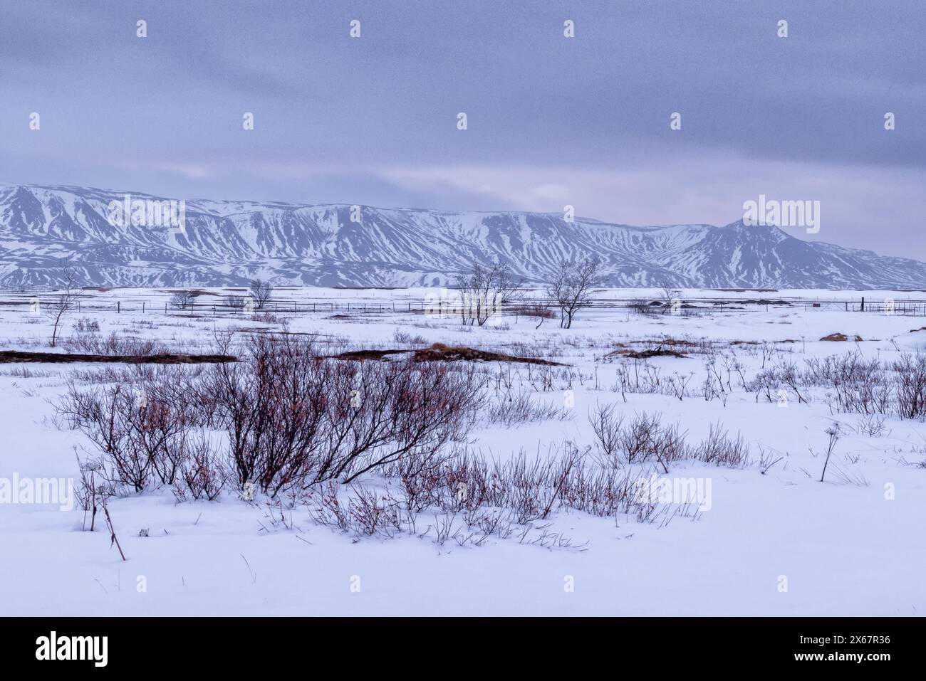 Typical winter landscape on the ring road in South Iceland Stock Photo ...