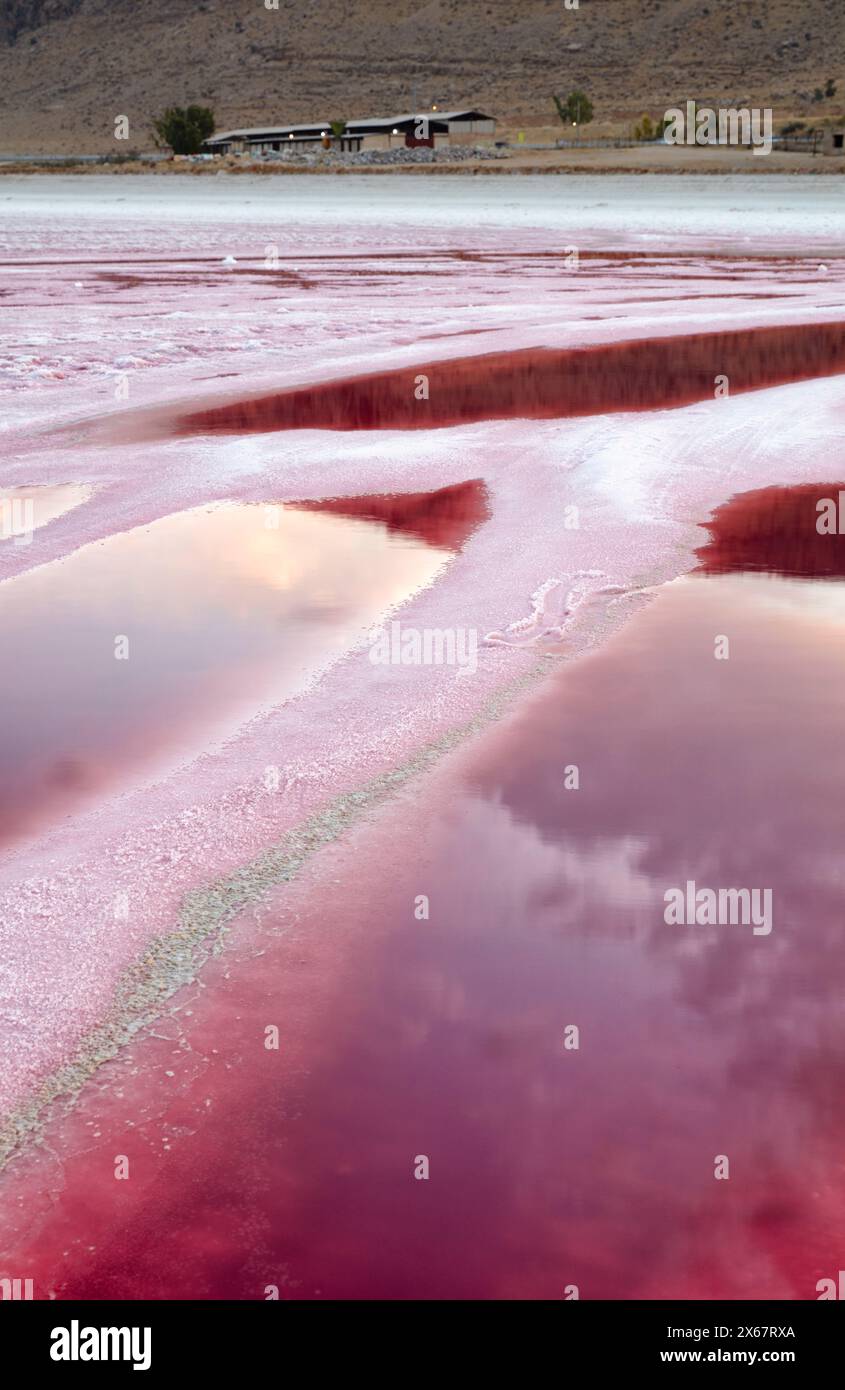 Remaining pools of vivid pink water in Maharloo Lake, aka the Pink Lake ...