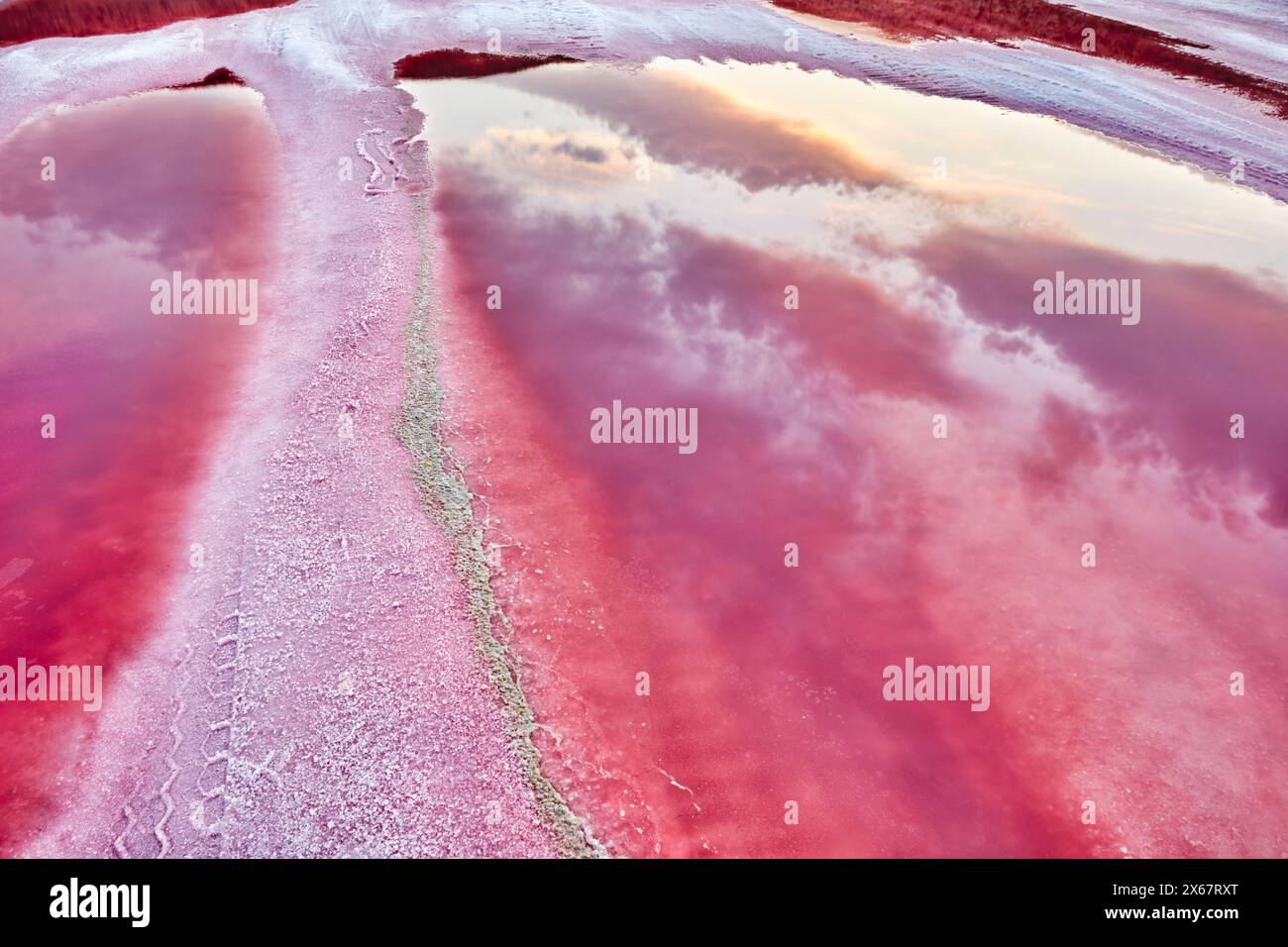 Remaining pools of vivid pink water in Maharloo Lake, aka the Pink Lake ...