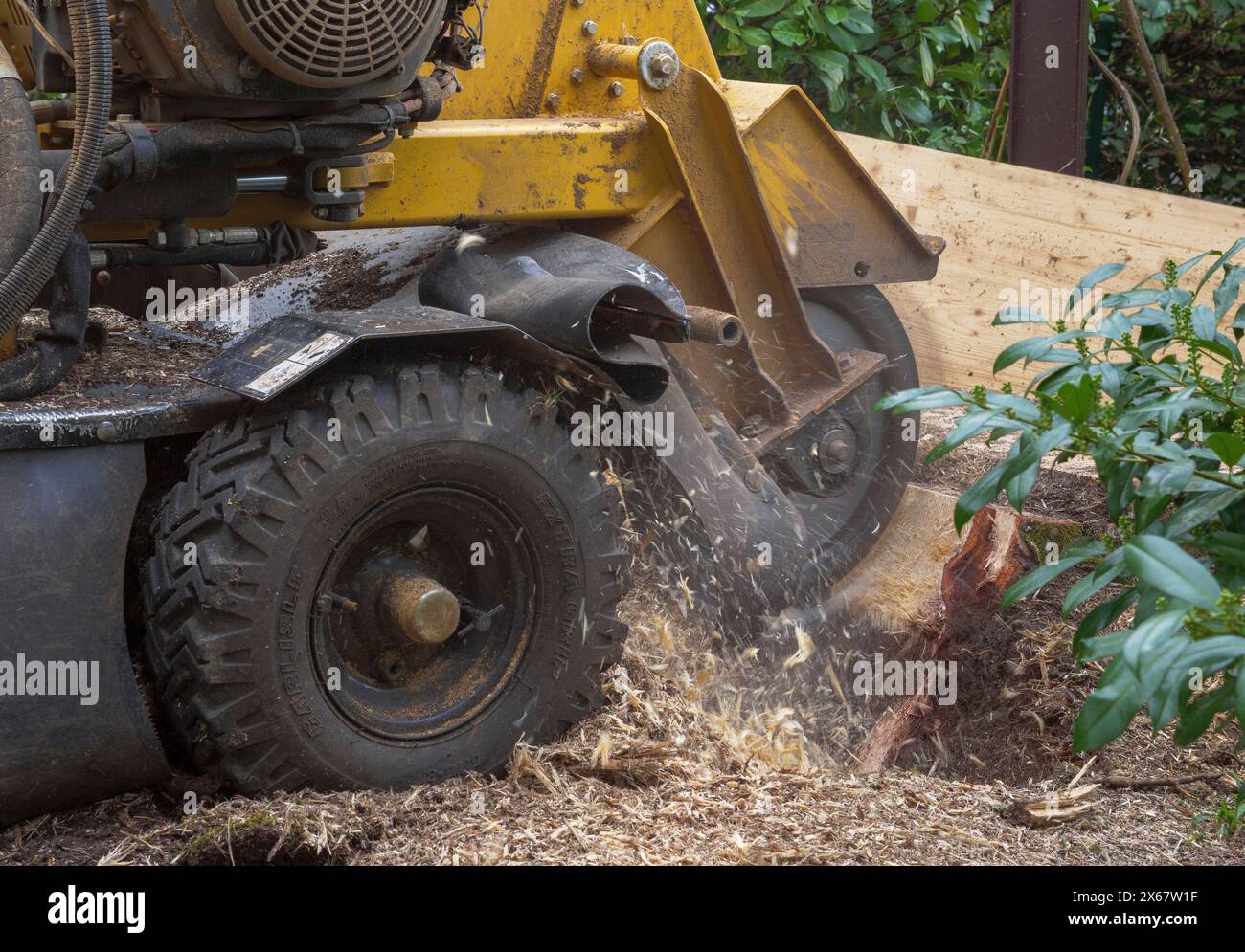 Rootstock cutter for tree stump removal, Tutzing, Bavaria, Germany ...