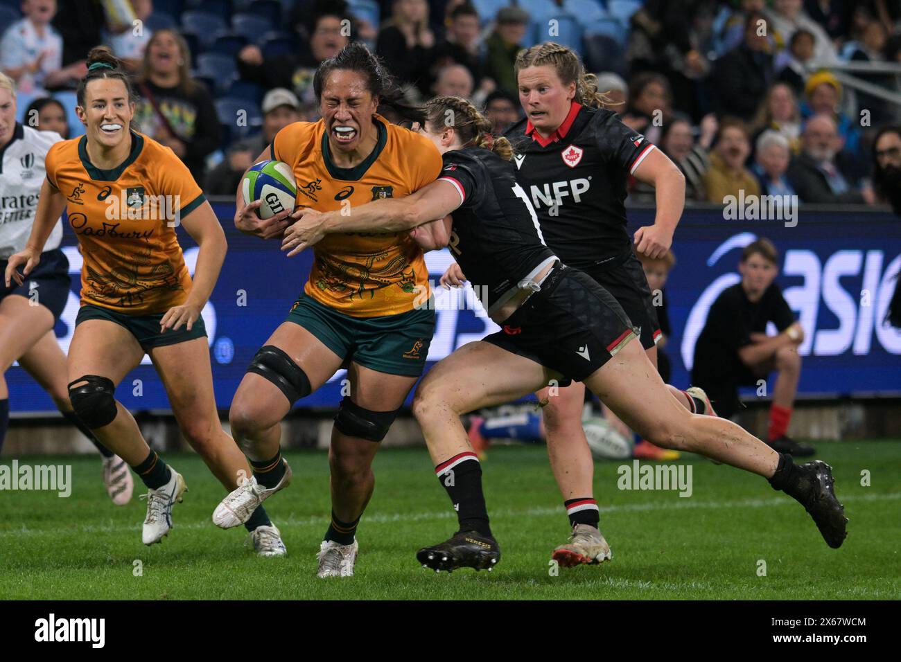 Sarah maude lachance hi-res stock photography and images - Alamy