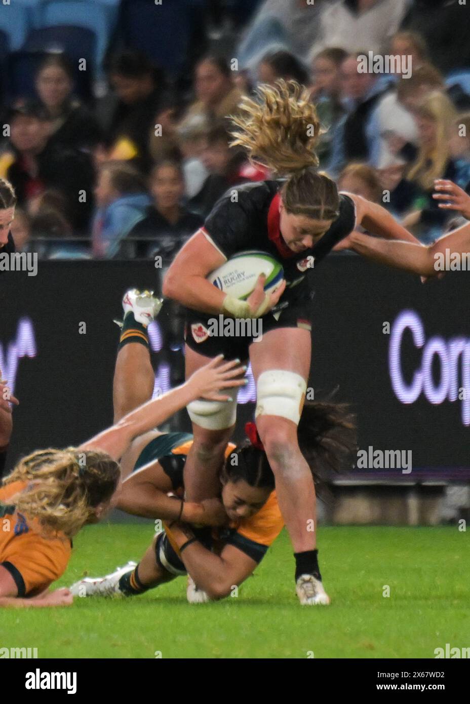 Sophie de goede hi-res stock photography and images - Alamy