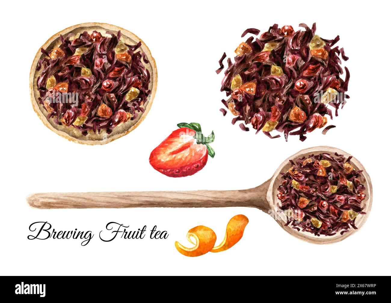 Fruit tea brewing set, top view. Hand drawn watercolor illustration ...