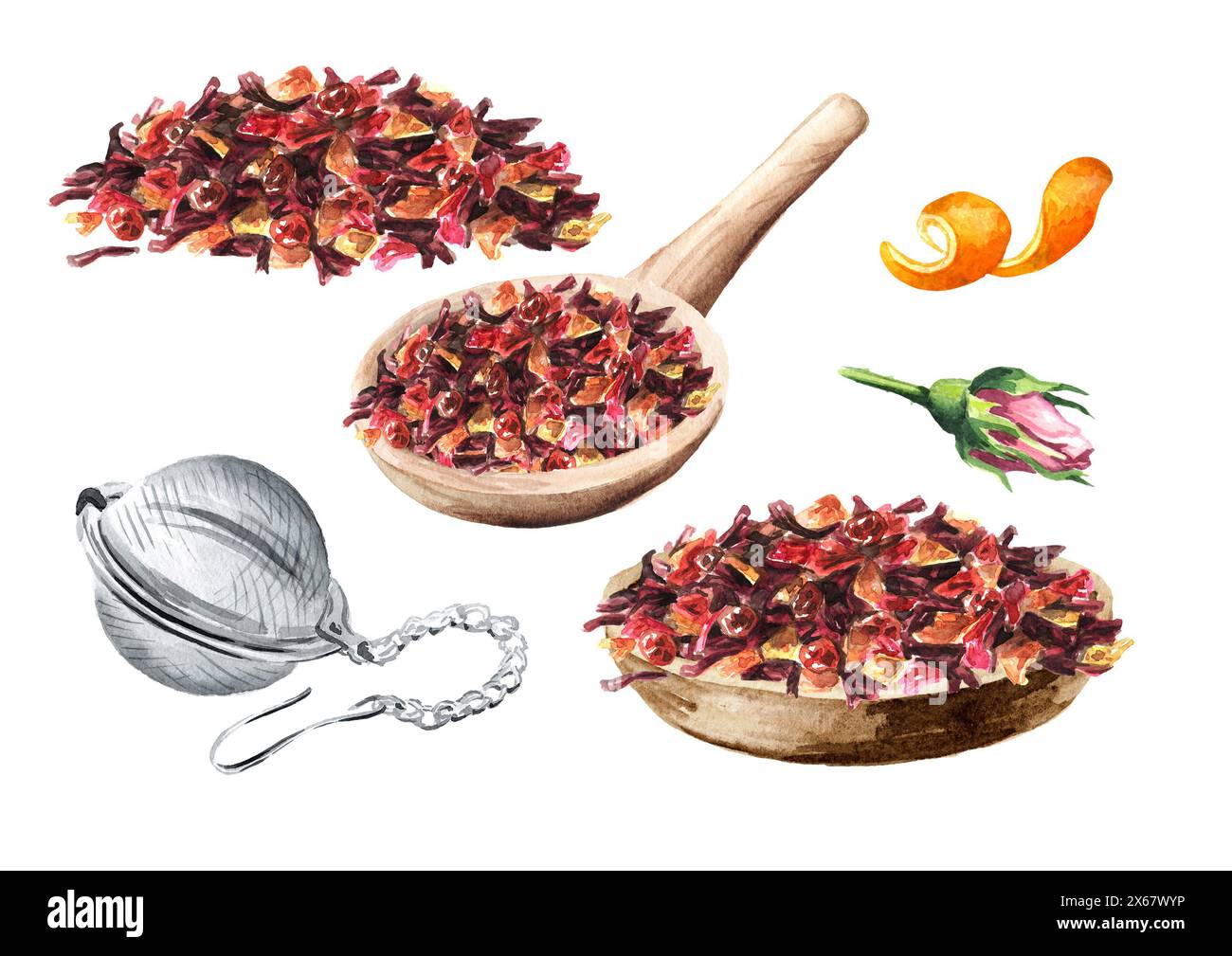 Fruit tea brewing set. Hand drawn watercolor illustration, isolated on ...