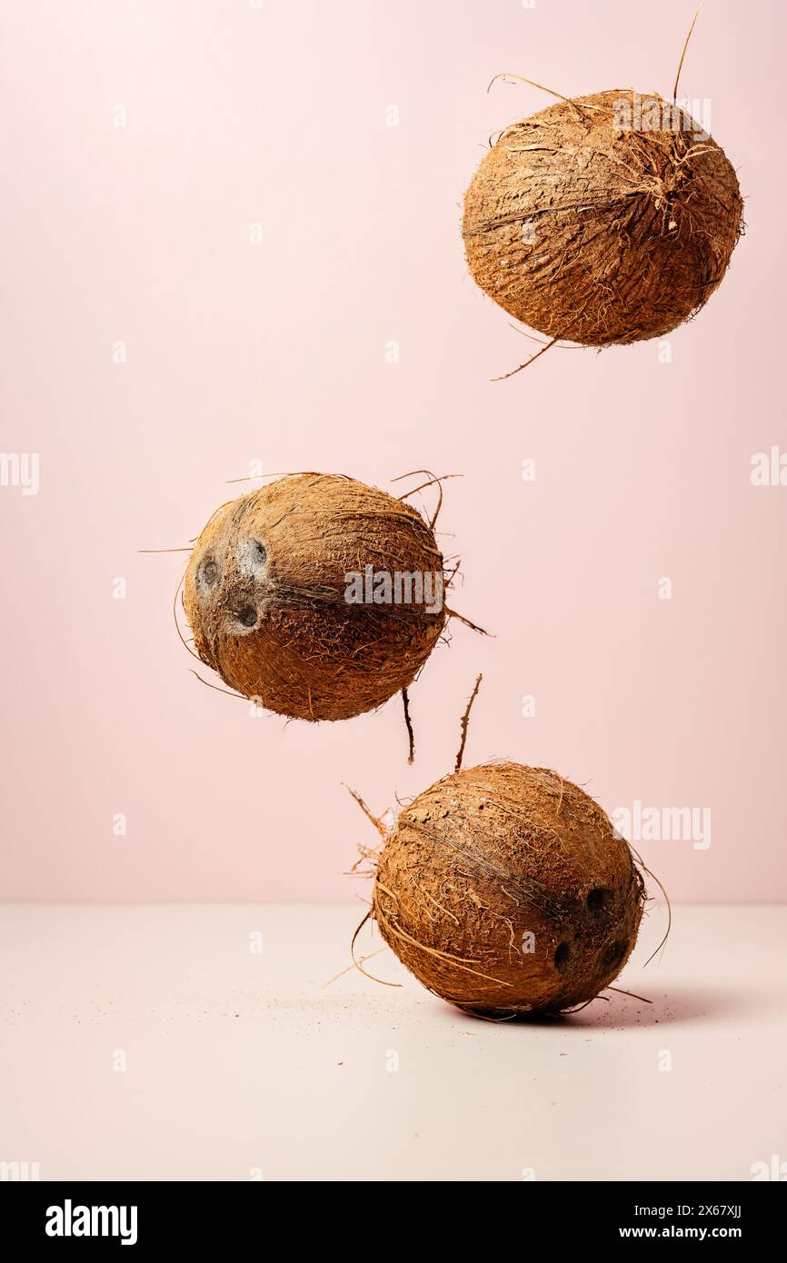 Three whole coconuts falling on a pink background Stock Photo - Alamy
