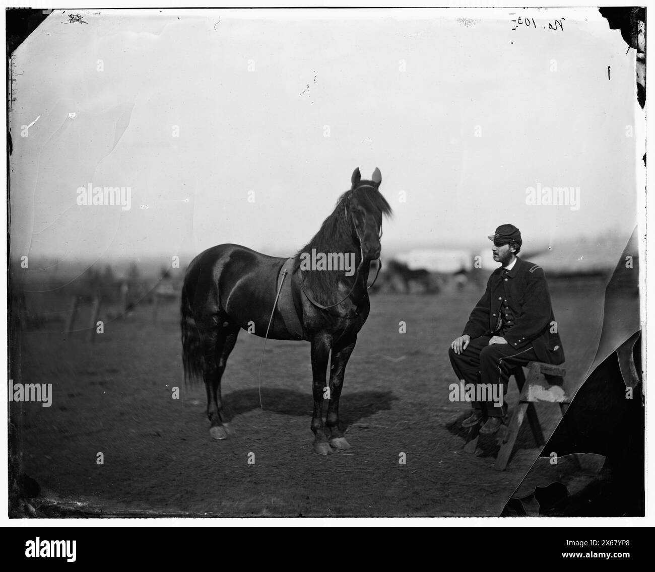 Brandy Station, Virginia. Lt. Chas W. Wolsey with horse headquarters ...