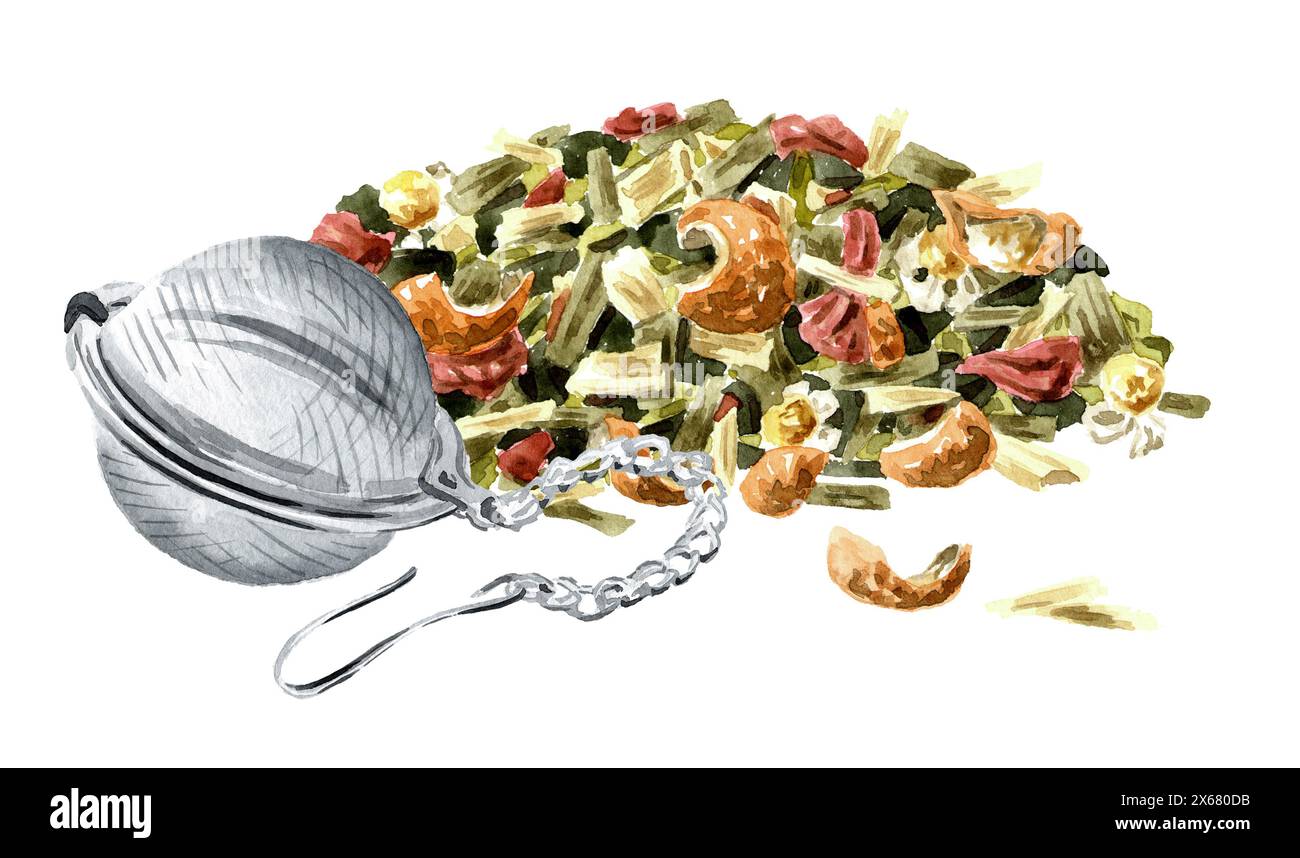 Herbal Fruit tea brewing and Tea Brewing sieve. Hand drawn watercolor ...