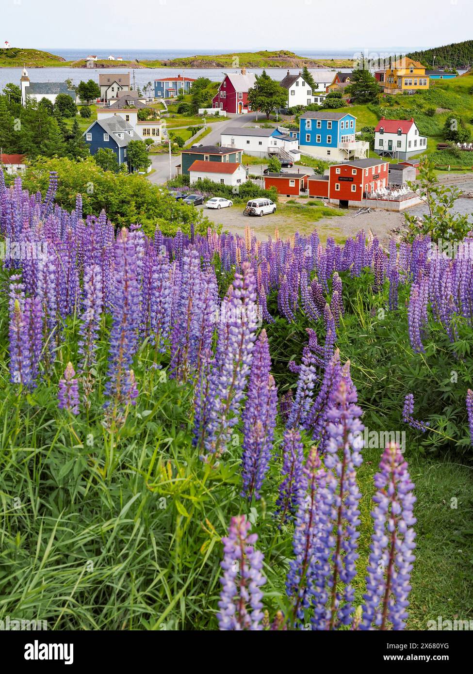 Canada, colourful houses, fishing community, Landscape, local ...