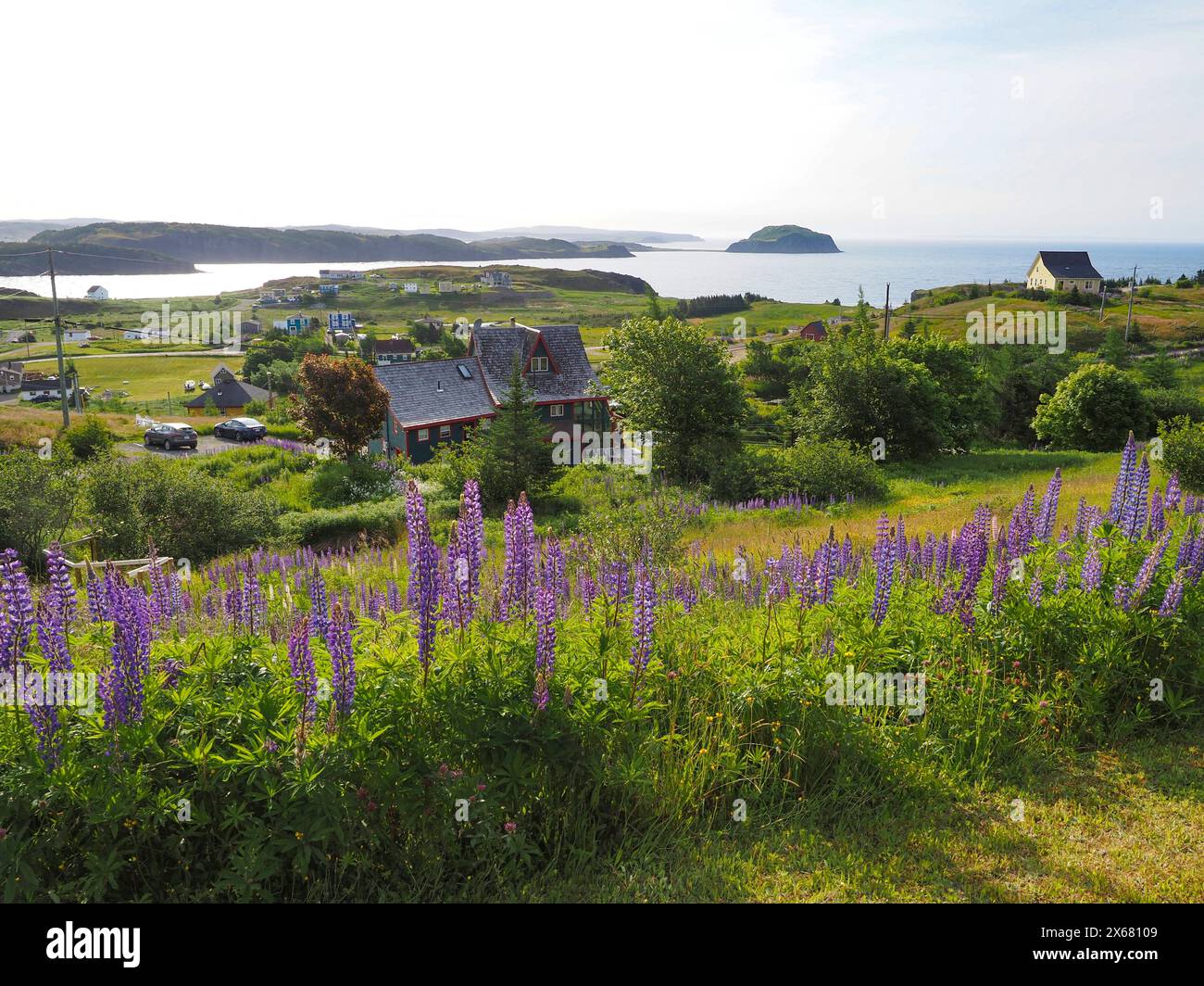 Port lupin hi-res stock photography and images - Alamy
