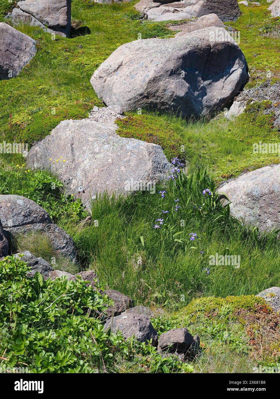 Canada, Cape Spear Lighthouse National Historic Site, rocks Stock Photo ...