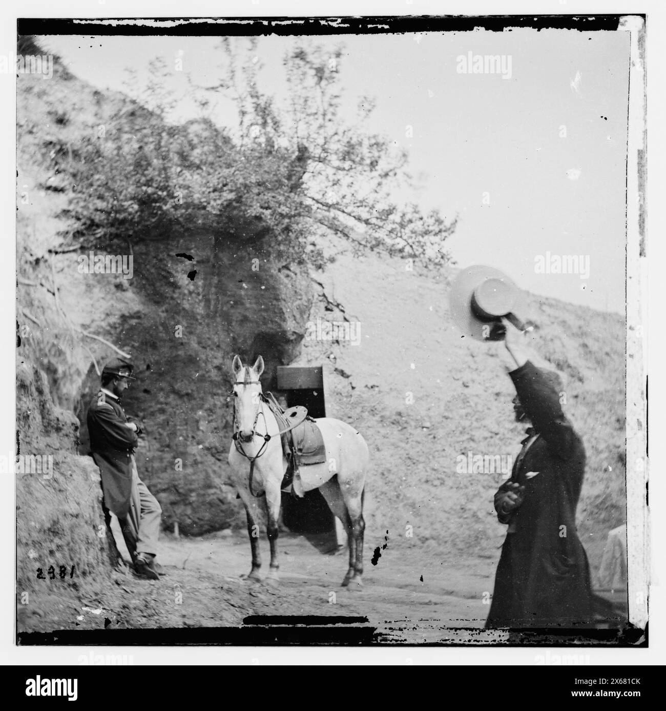 Yorktown, Virginia. Captain Perkin's "Sesesh" horse captured at ...