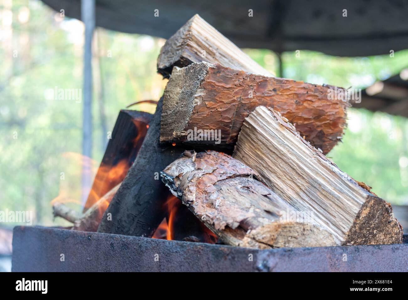 A pile of wood is burning in the brazier to make coals. Cottage garden ...