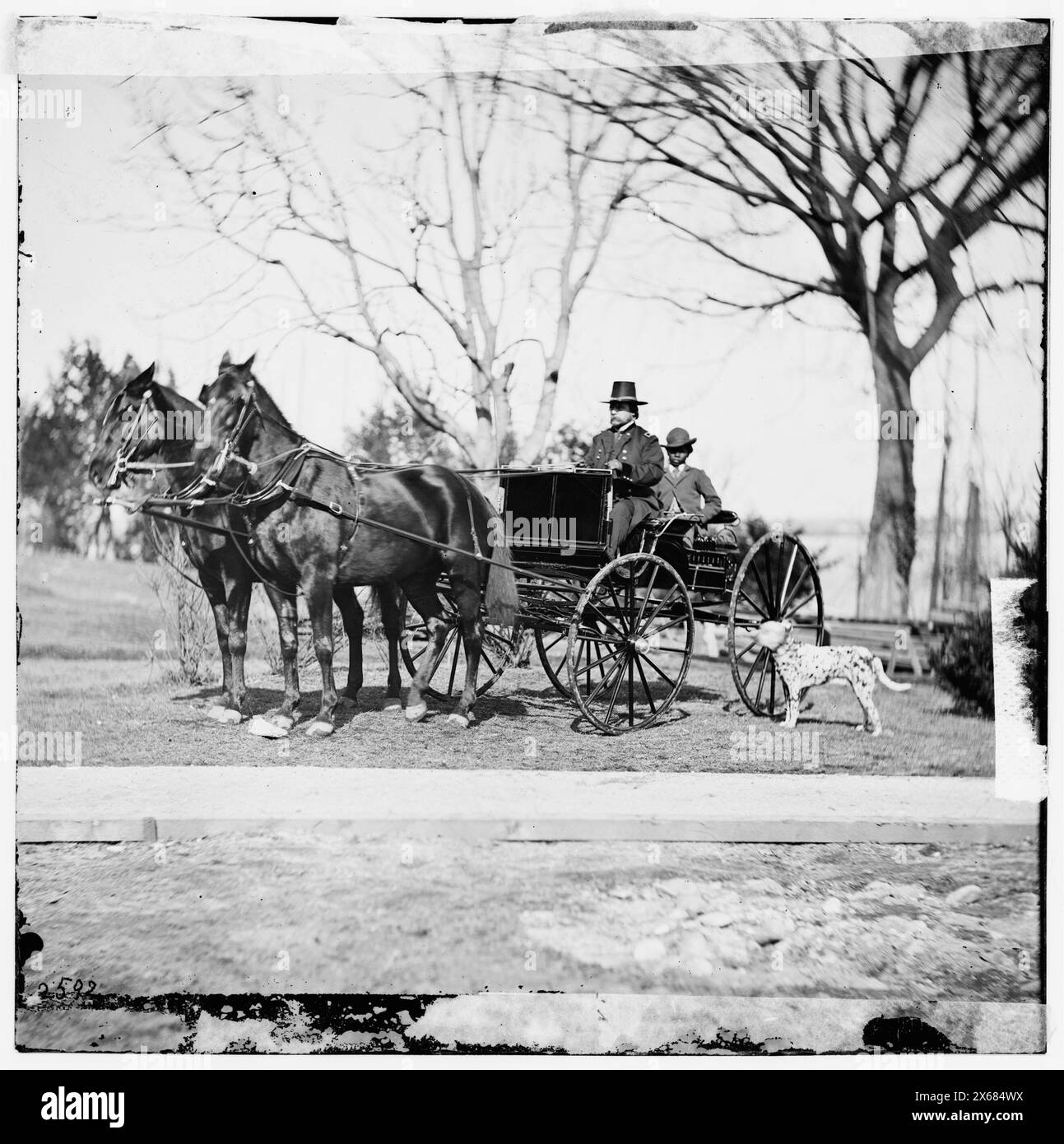 City Point, Virginia. Gen. Rufus Ingalls in buggy with colored boy ...