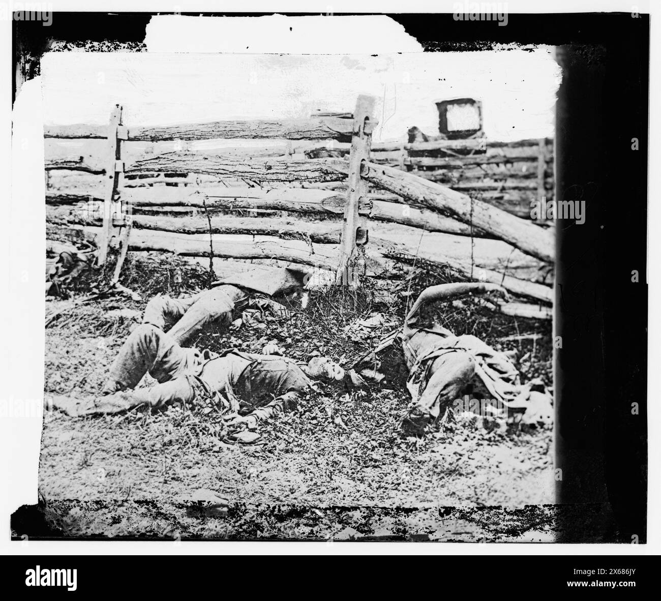 Antietam, Maryland. Bodies of dead, Louisiana Regiment, Civil War ...