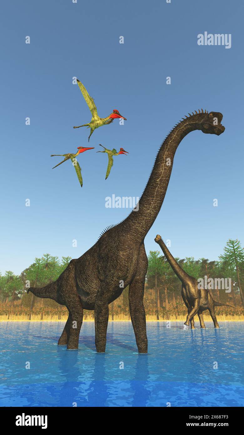 Three Pterosaurs fly over two Brachiosaurus dinosaurs wading across a river during the Jurassic ...
