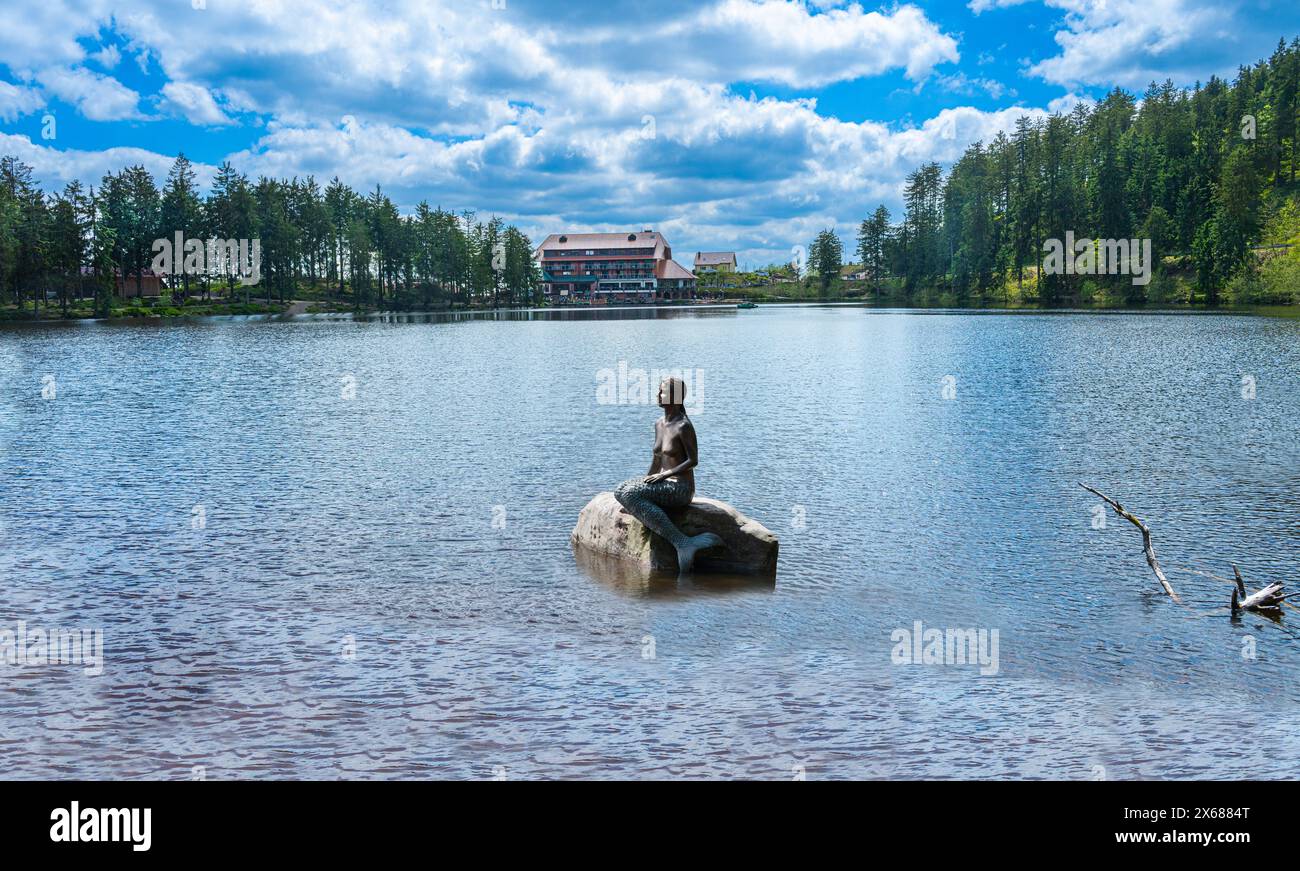 The mermaid carved in stone in the Mummelsee in the Black Forest ...