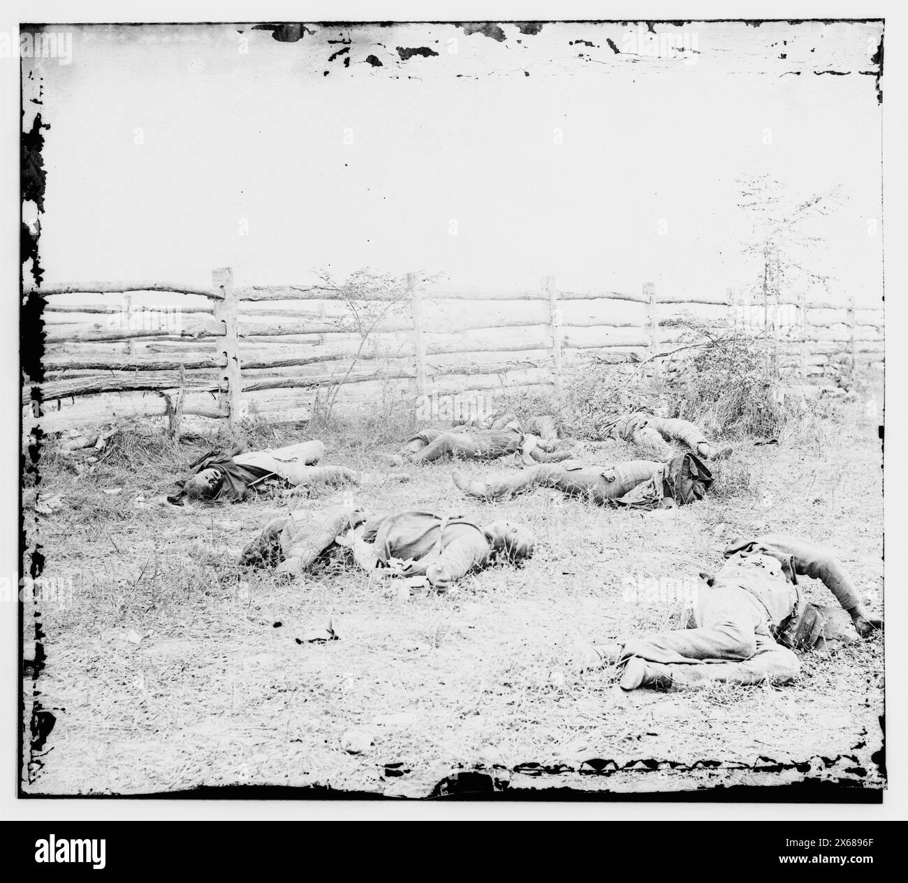 Antietam, Maryland. Confederate soldiers as they fell inside the fence on the Hagerstown road ...