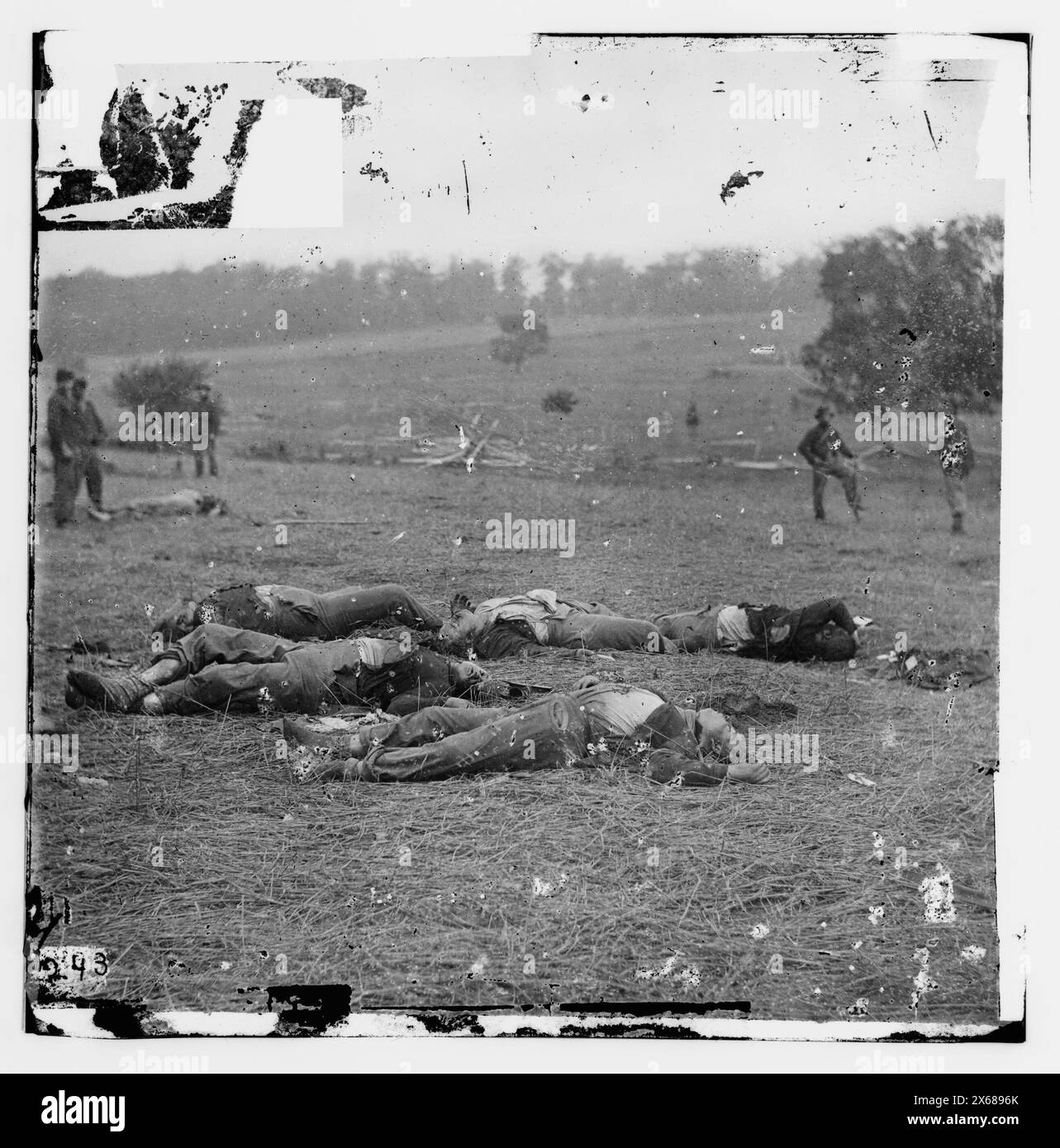 Gettysburg, Pennsylvania. Federal dead on the right of the Federal ...