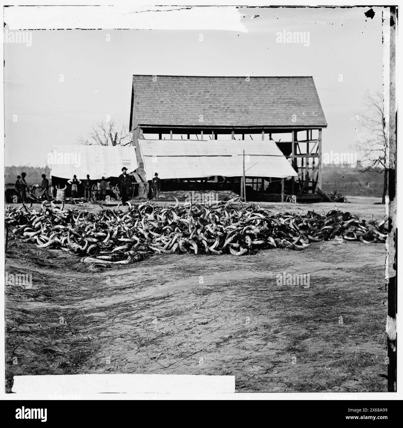 City Point, Virginia. Slaughter house, Civil War Photographs 1861-1865 ...