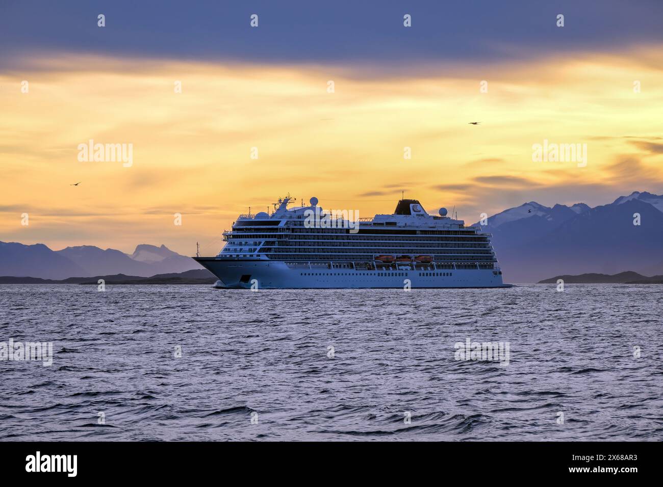 Ushuaia, Tierra del Fuego, Argentina, cruise ship Viking Jupiter in the evening sun in the ...