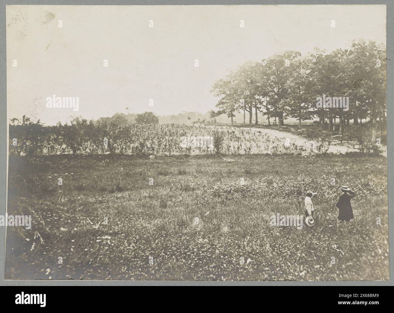 Gettysburg, Pa. July 1863. Battlefield of Gettysburg. View of point of ...