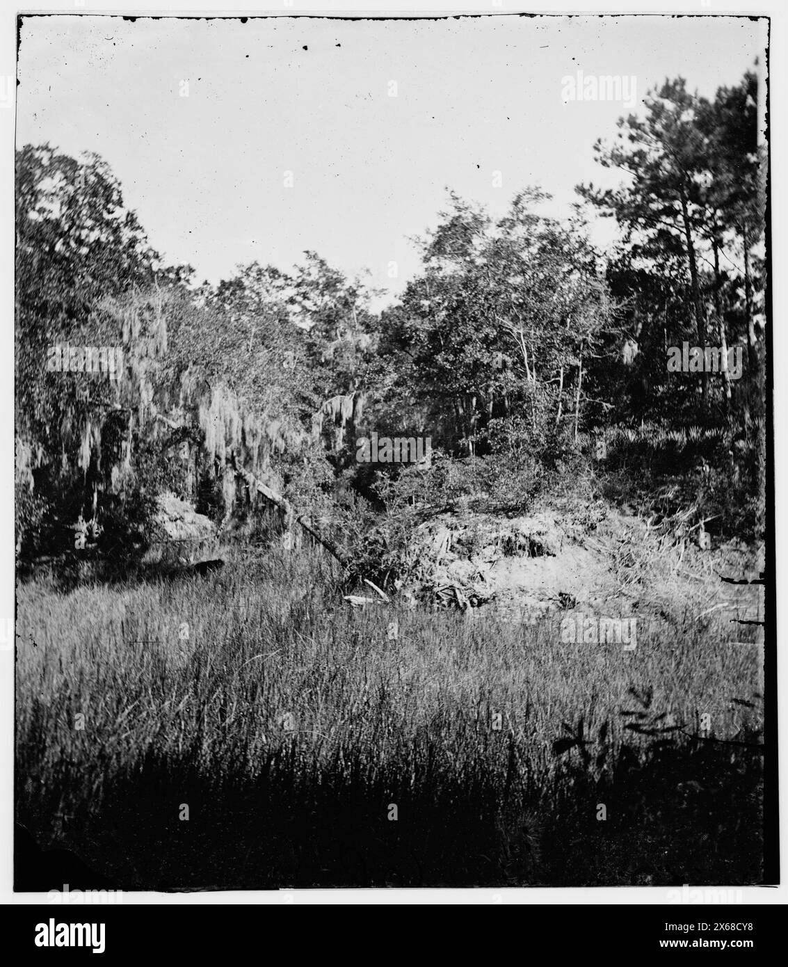 View of swamp, Civil War Photographs 1861-1865 Stock Photo - Alamy