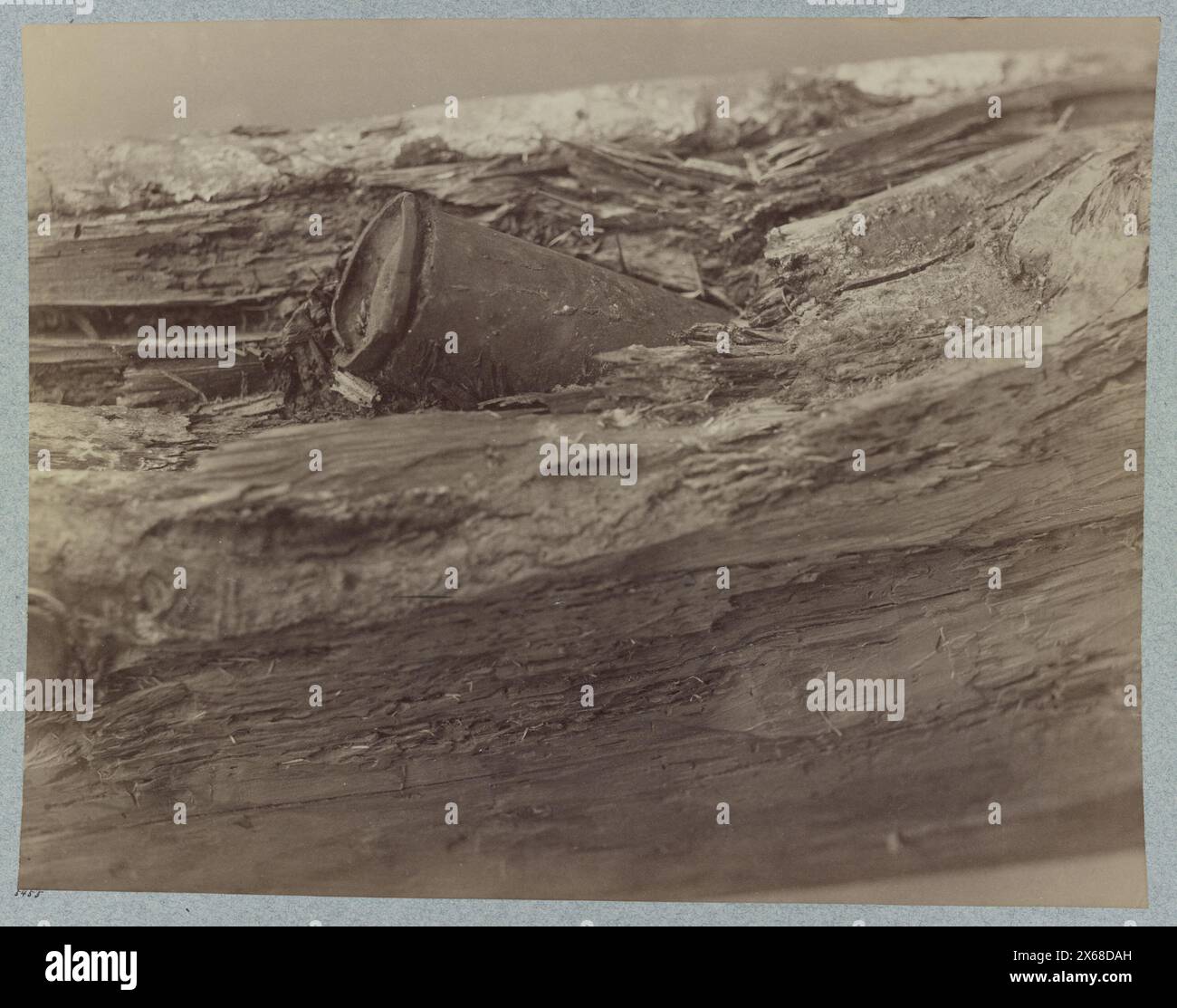 Confederate shell in tree at the "Bloody Angle" near McCool's house ...