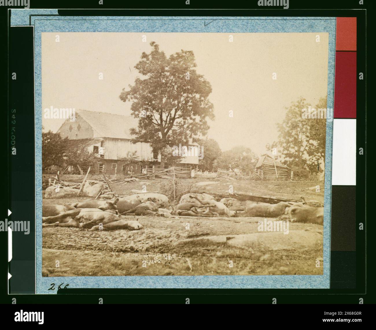Dead horses of Bigelow's (9th Massachusetts) Battery, Civil War ...