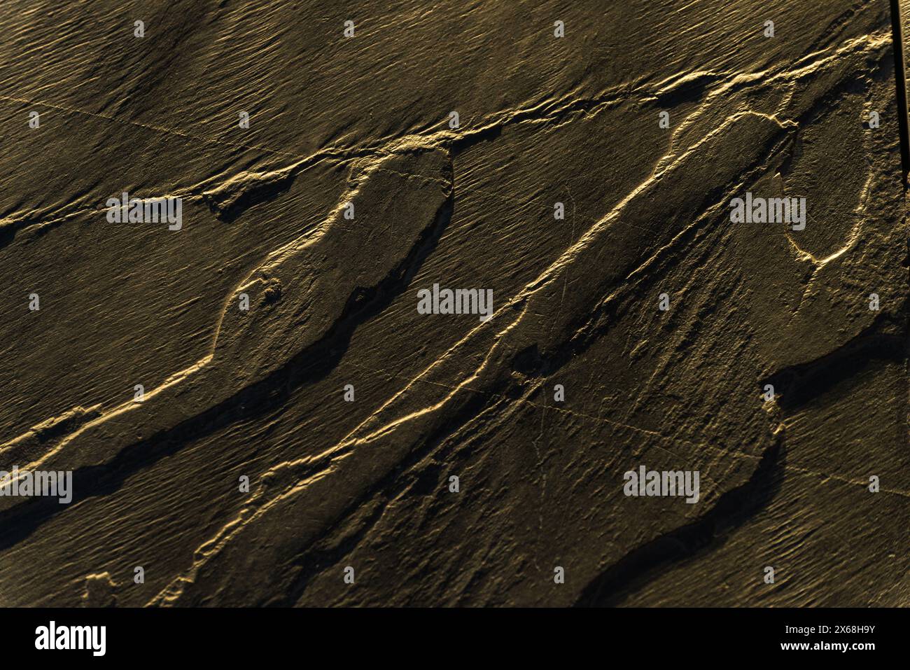 A close up of a rock with a goldish tint. The rock has a rough texture ...