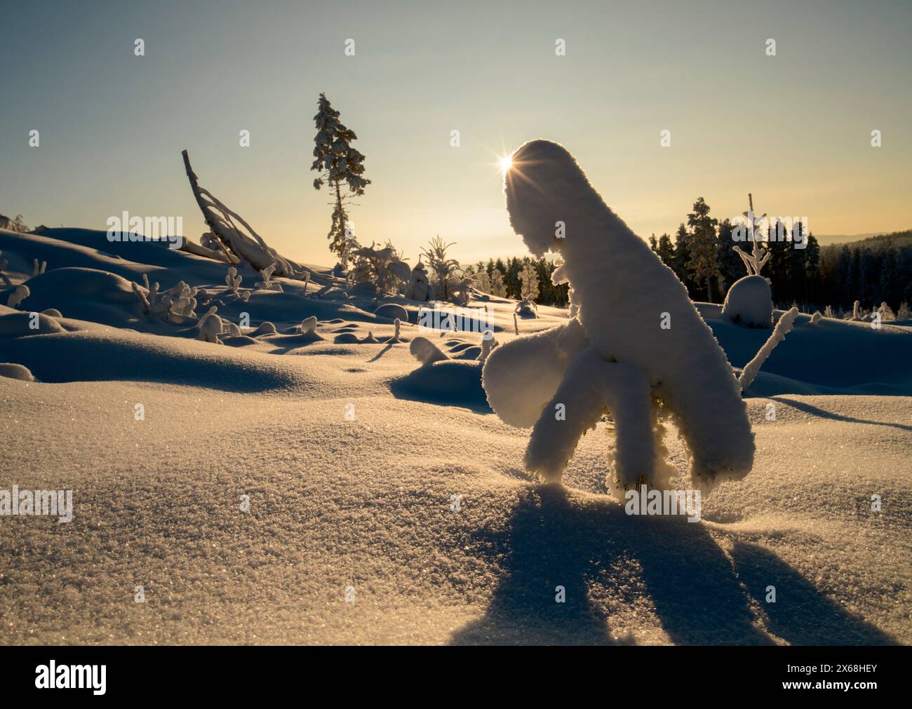 snow sculpture in an form of a human being in an winter landscape Stock ...