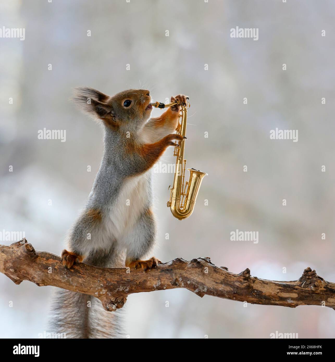Holding saxophone hi-res stock photography and images - Alamy