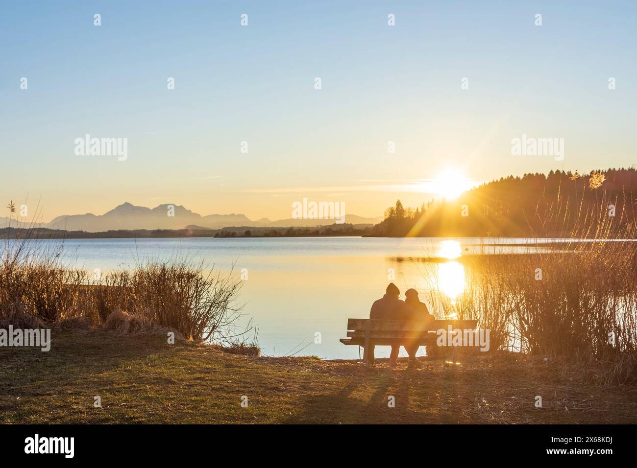 Neumarkt am Wallersee, lake Wallersee at sunset, couple on bench, Alps ...