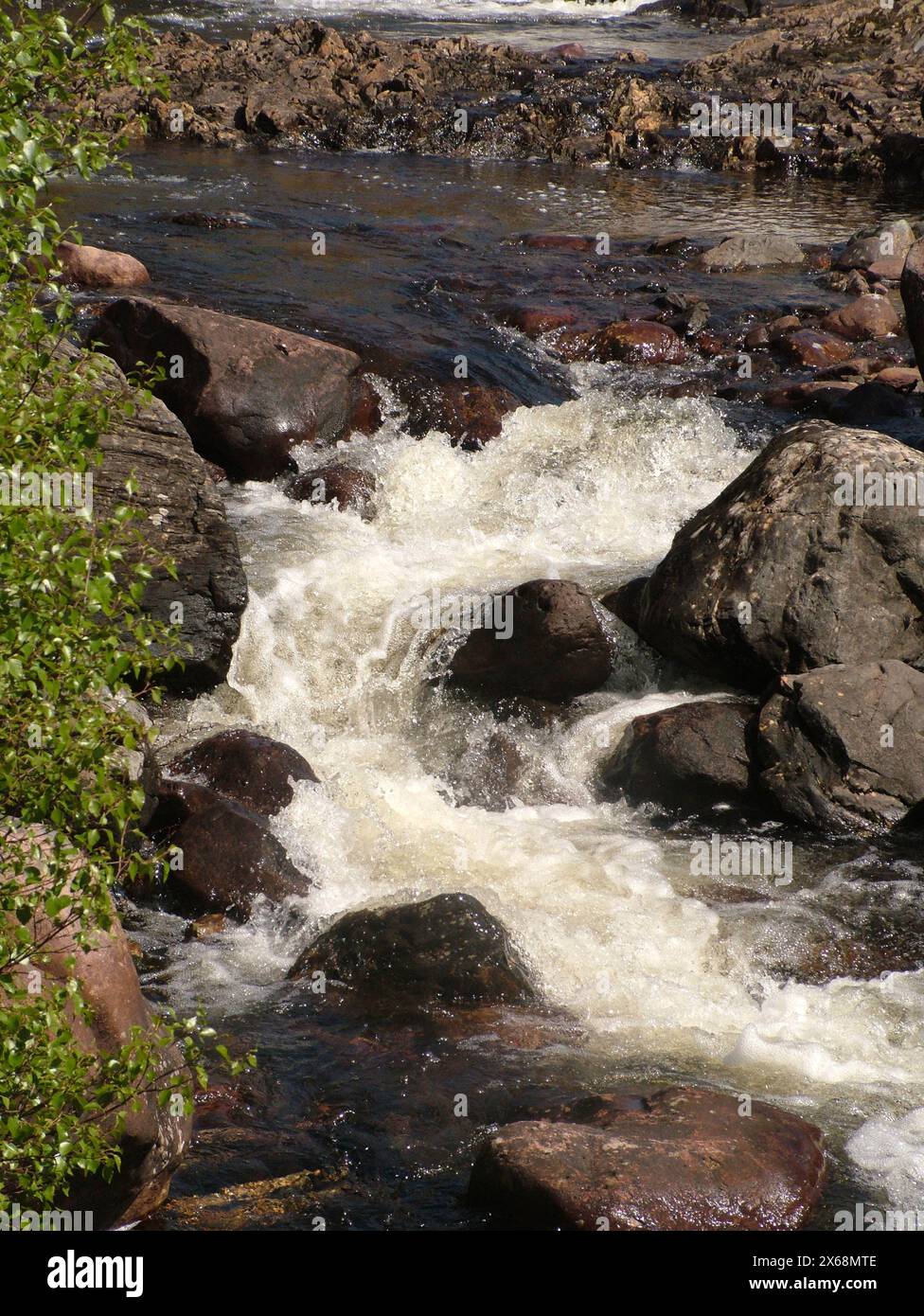Late spring sunshine sparkles on the peat coloured water as it flows ...