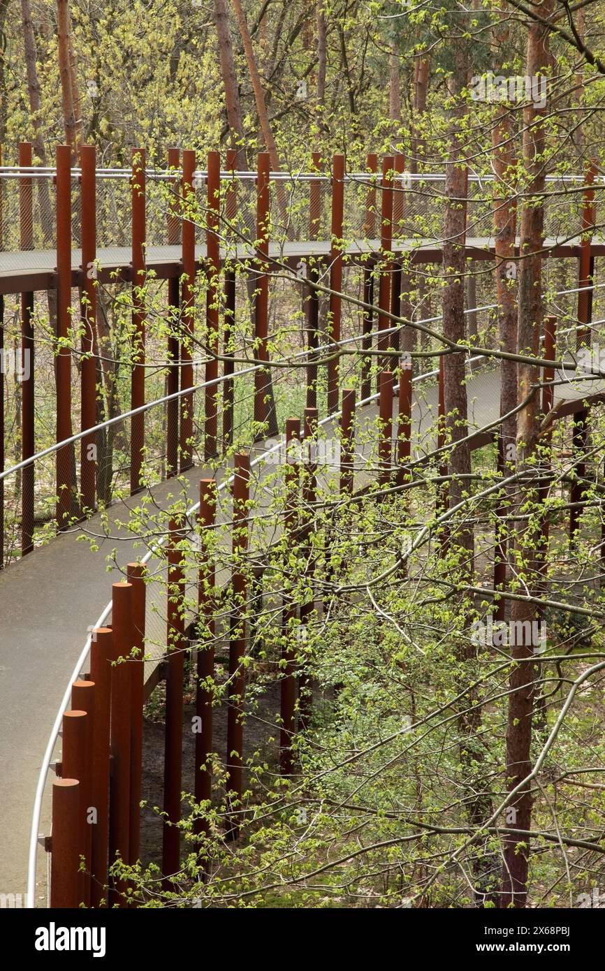 The "Cycling through trees" elevated cycle route in the Bosland ...