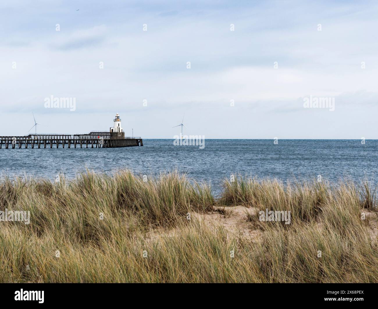 Blyth beach in Northumberland, UK with pier and lighthouse. Grasses ...