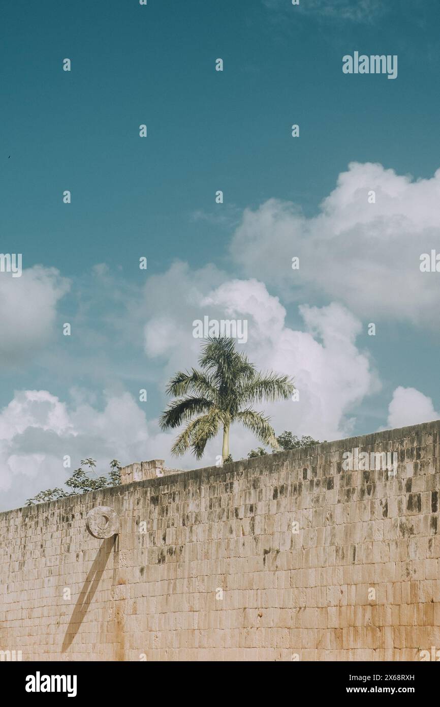 Palm tree over ancient Mayan ball court, Chichen Itza, Tulum Stock ...