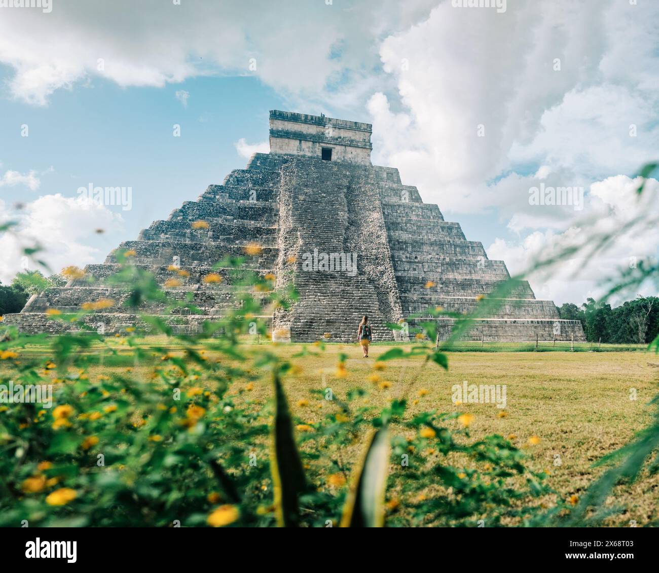 Chichen Itza pyramid through vibrant foreground, Mexico Stock Photo - Alamy