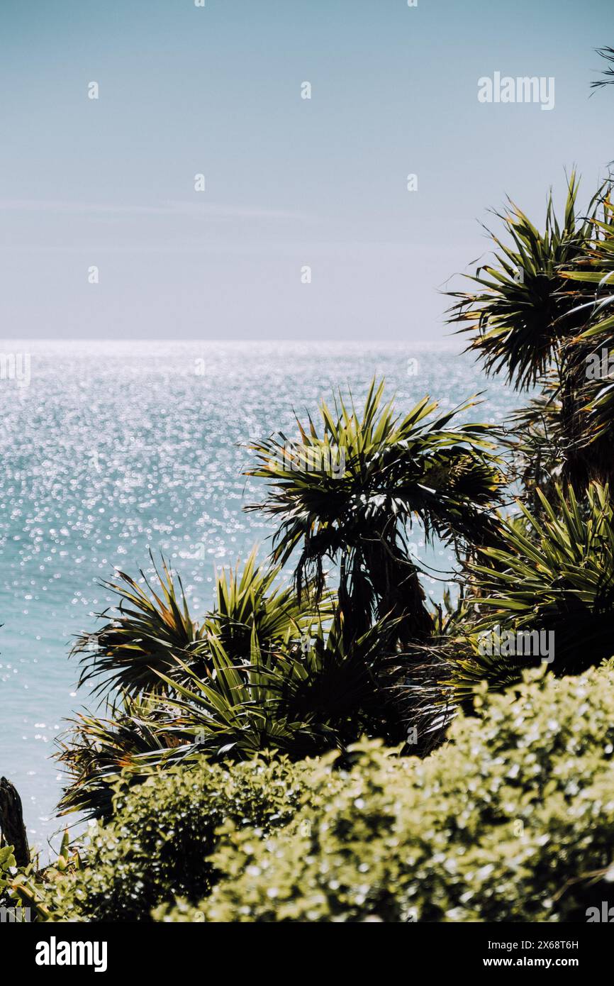 Lush greenery overlooking shimmering ocean Stock Photo - Alamy