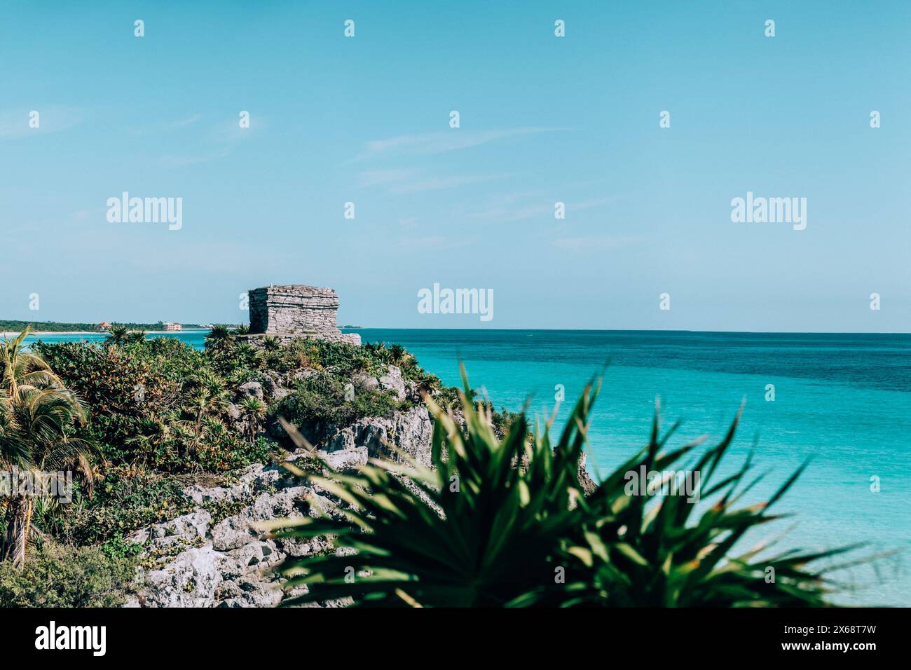 Mexico city dig hi-res stock photography and images - Alamy