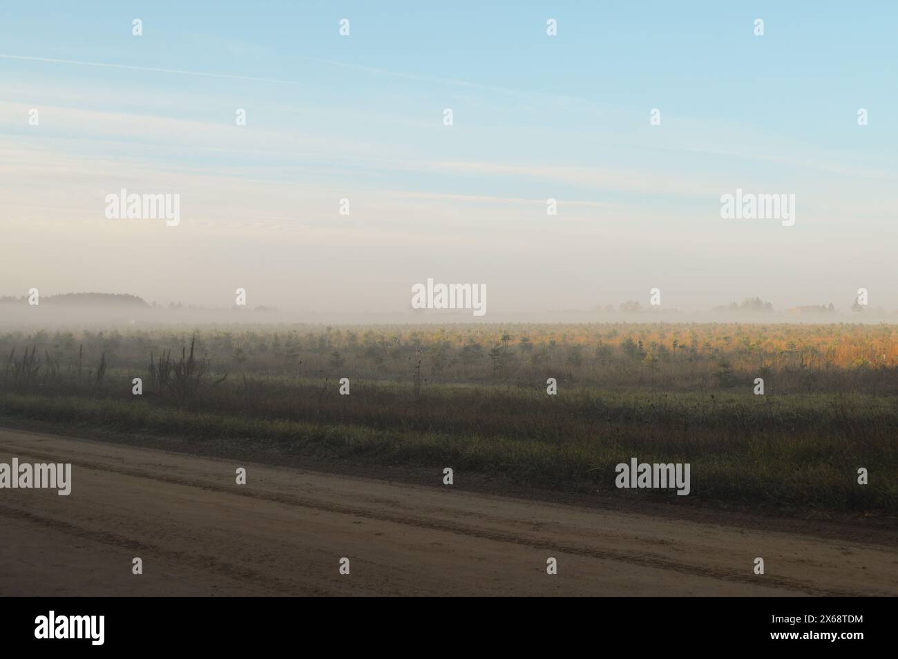 Dramatic foggy road hi-res stock photography and images - Alamy