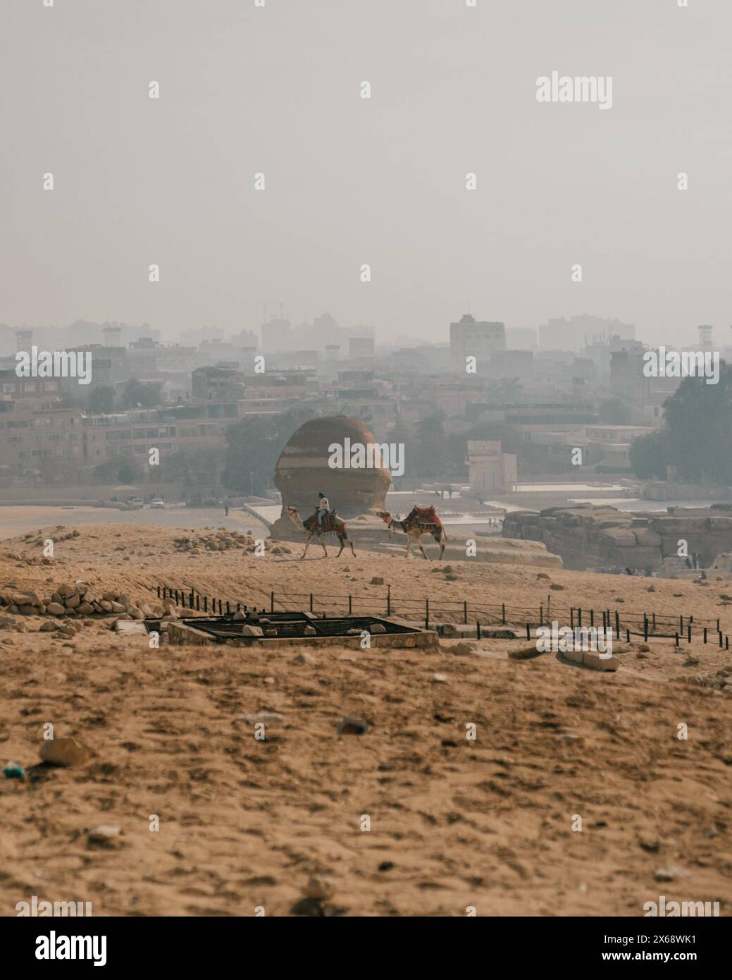 Sphinx watching city of Giza, Egypt Stock Photo - Alamy