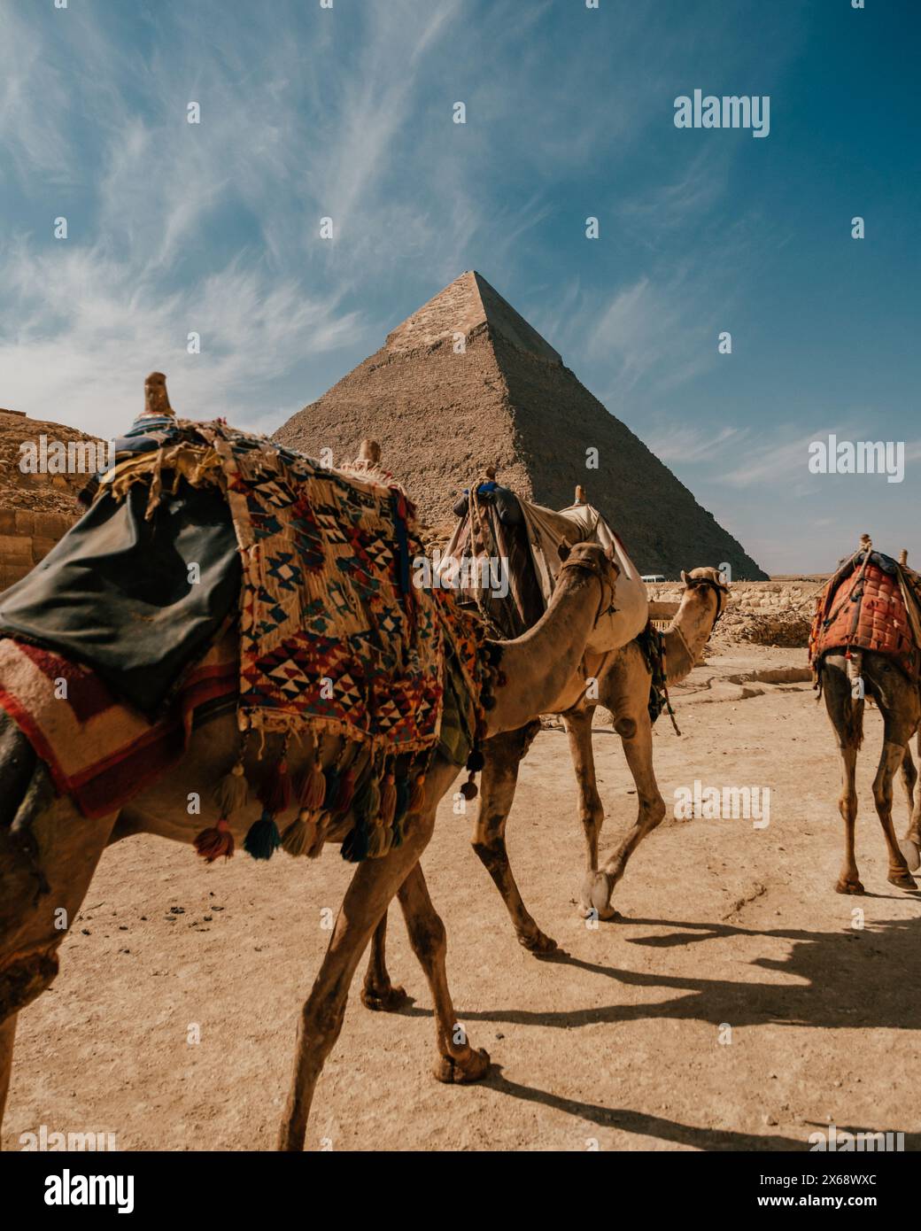 Camel riding in giza plateau hi-res stock photography and images - Alamy