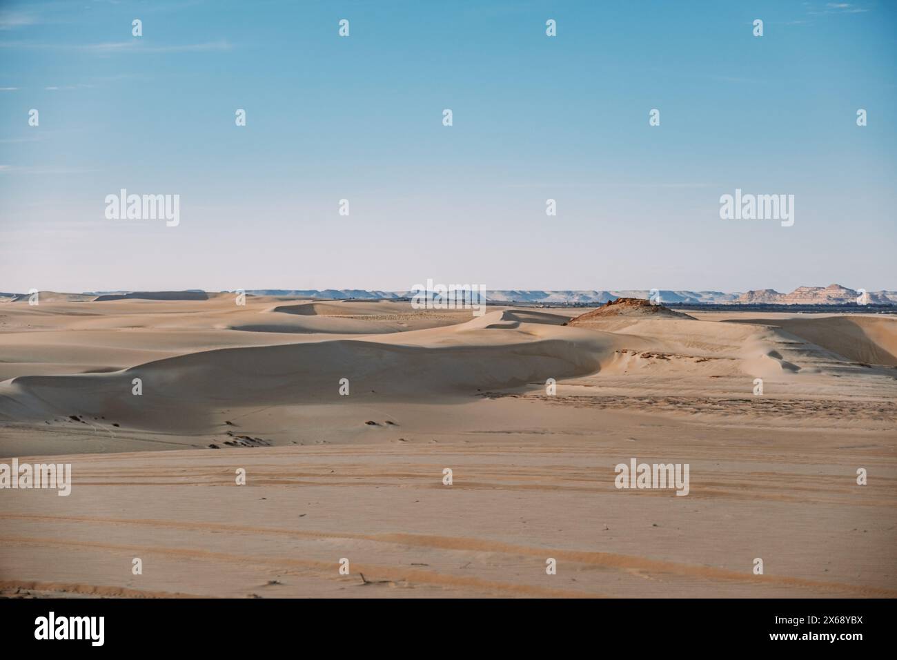 Expansive sandy dunes under clear blue sky, Sahara near Siwa Oasis ...