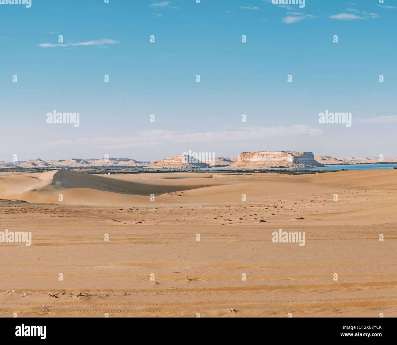 Expansive sandy dunes under clear blue sky, Sahara near Siwa Oasis ...