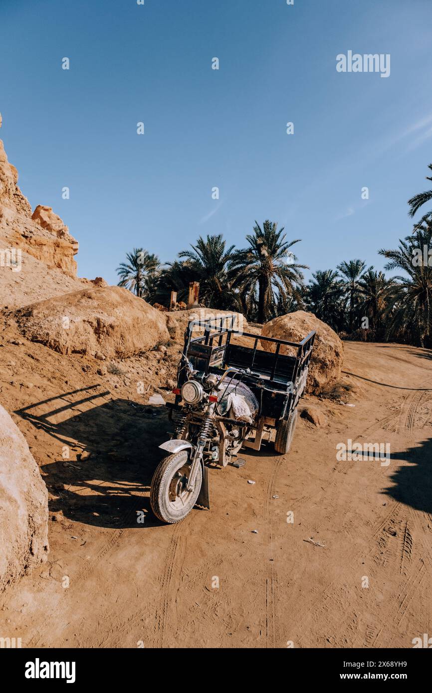 Motorcycle with a trailer parked on a sandy path, surrounded by palm ...